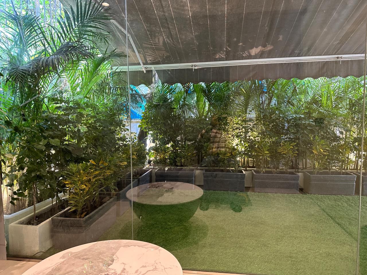 Skin Specialist & Hair Transplant In Chandigarh |Clinic Dermatech